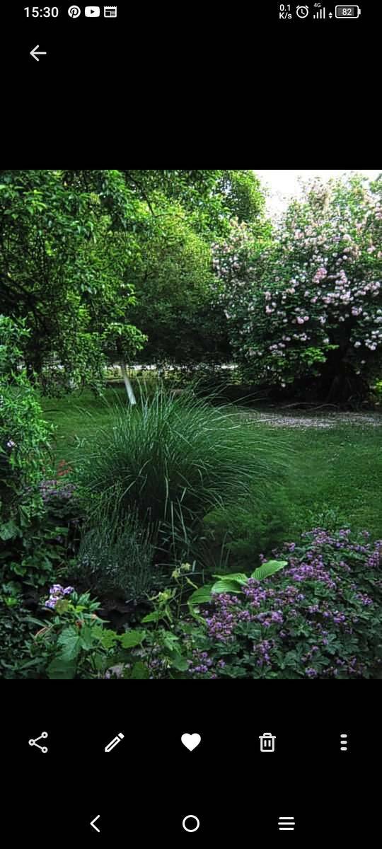 Kuca, Subotica, Đurđin, prodaja, 80m2, 22000e, id789672 - Oglasi ...