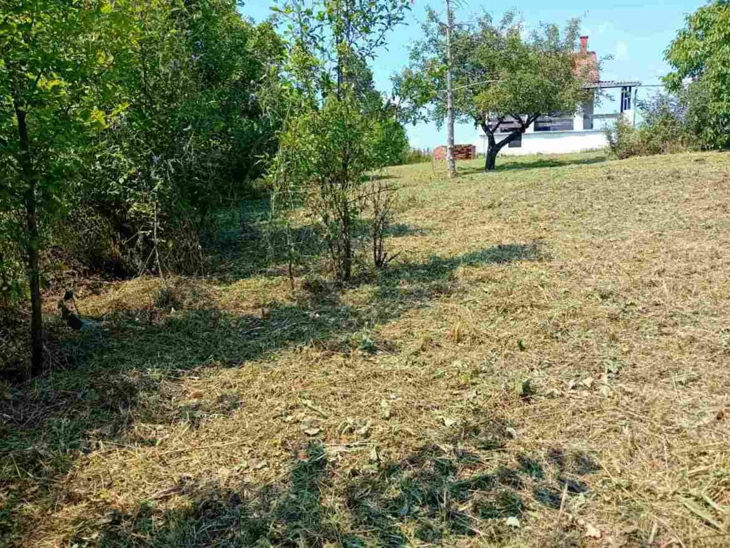 Vikendica, Beograd, Rogaca, prodaja, 71m2, 69000e, id1110515 - Oglasi ...