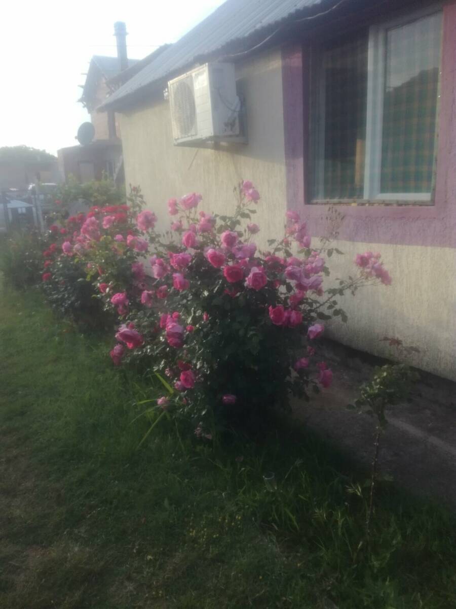 Kuca, Podgorica, prodaja, 62m2, 37000e, id1133995 - Oglasi SveNekretnine