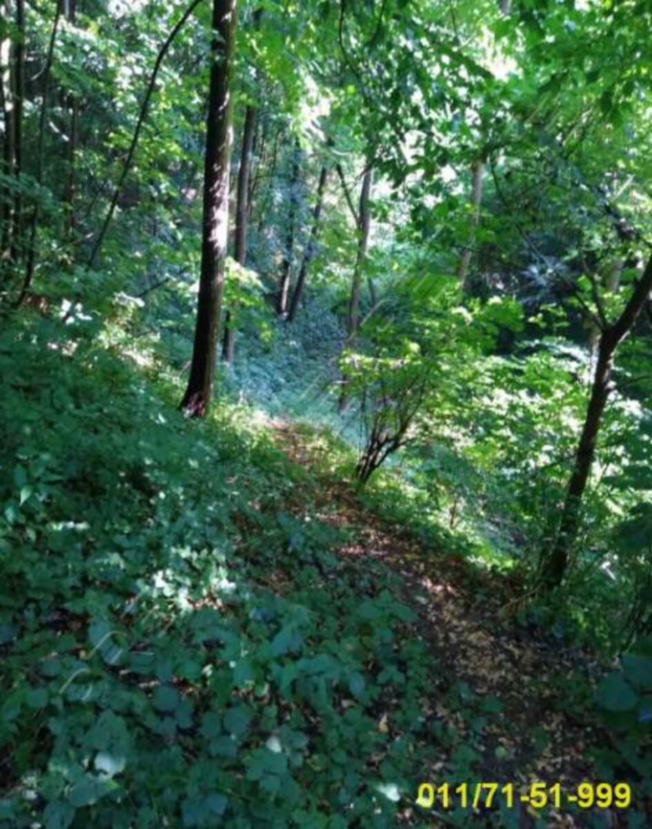 Plac, Beograd, Ralja, prodaja, 0m2, 65000e, id745717 - Oglasi SveNekretnine